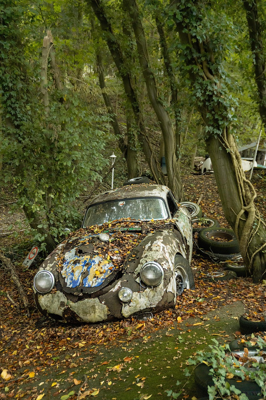 Car Forest Vehicle - Free photo on Pixabay - Pixabay