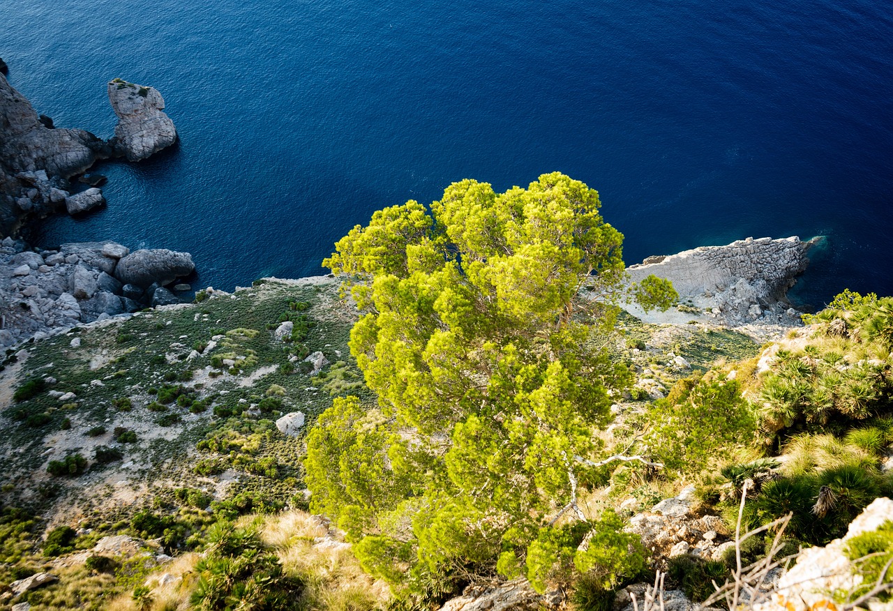 Naturaleza Costa Acantilado Orilla - Foto gratis en Pixabay - Pixabay