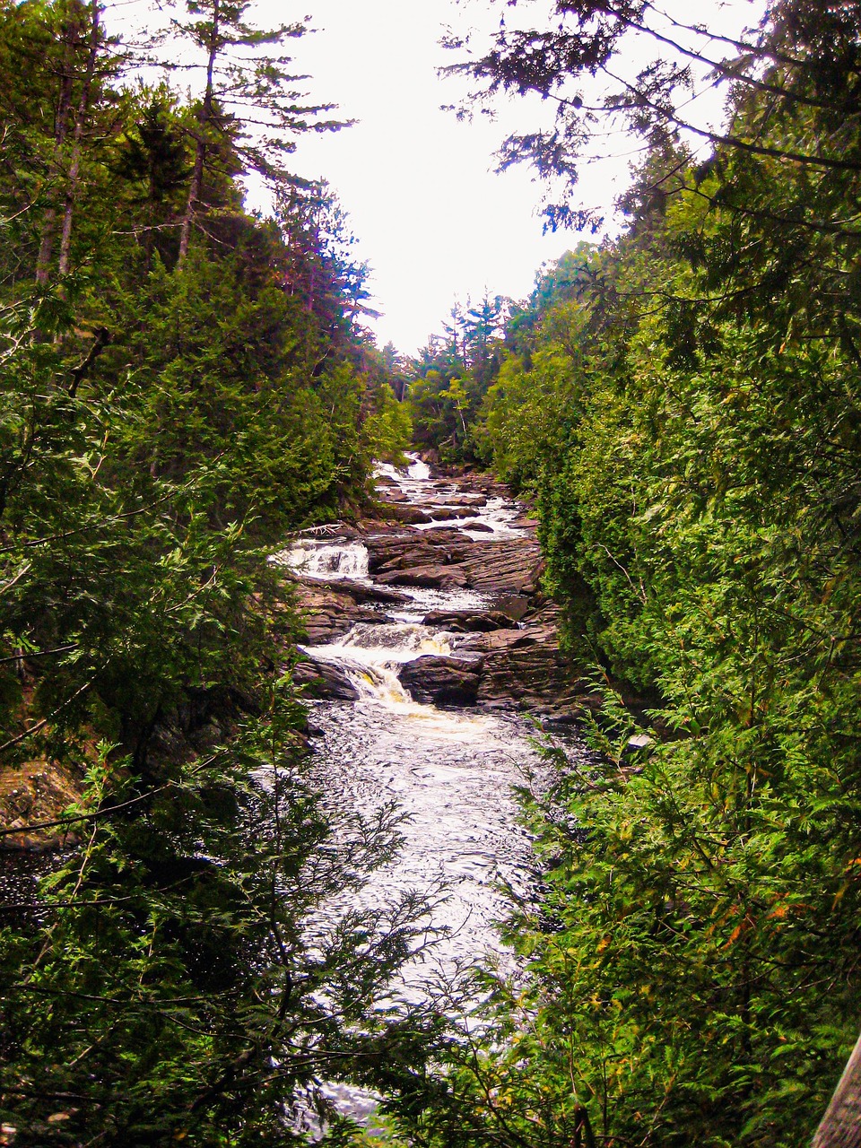 River Stream Forest - Free photo on Pixabay
