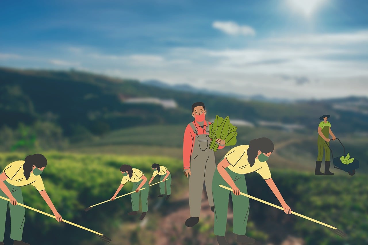 Download Cultivated Field, Farming, Agriculture. Royalty-Free Stock ...