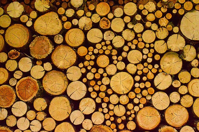 Madera Troncos De Árboles Tronco - Foto gratis en Pixabay - Pixabay