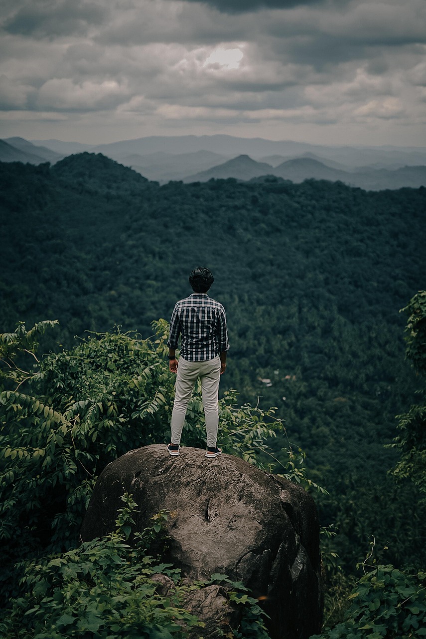 30+ Free Wayanad & Kerala Images - Pixabay