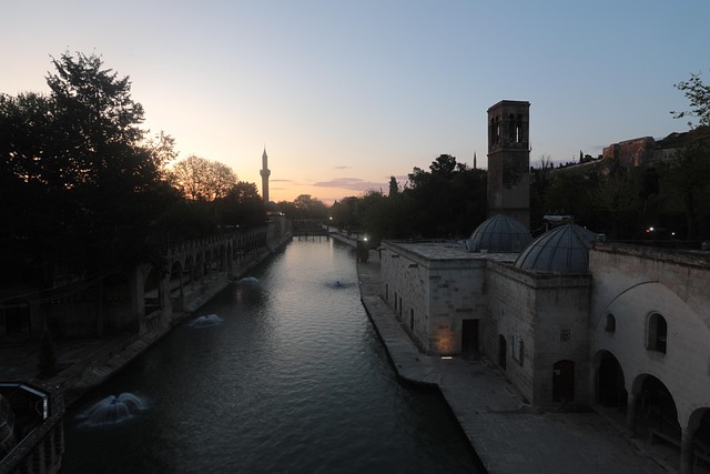 Sanliurfa Urfa Fish - Free photo on Pixabay - Pixabay