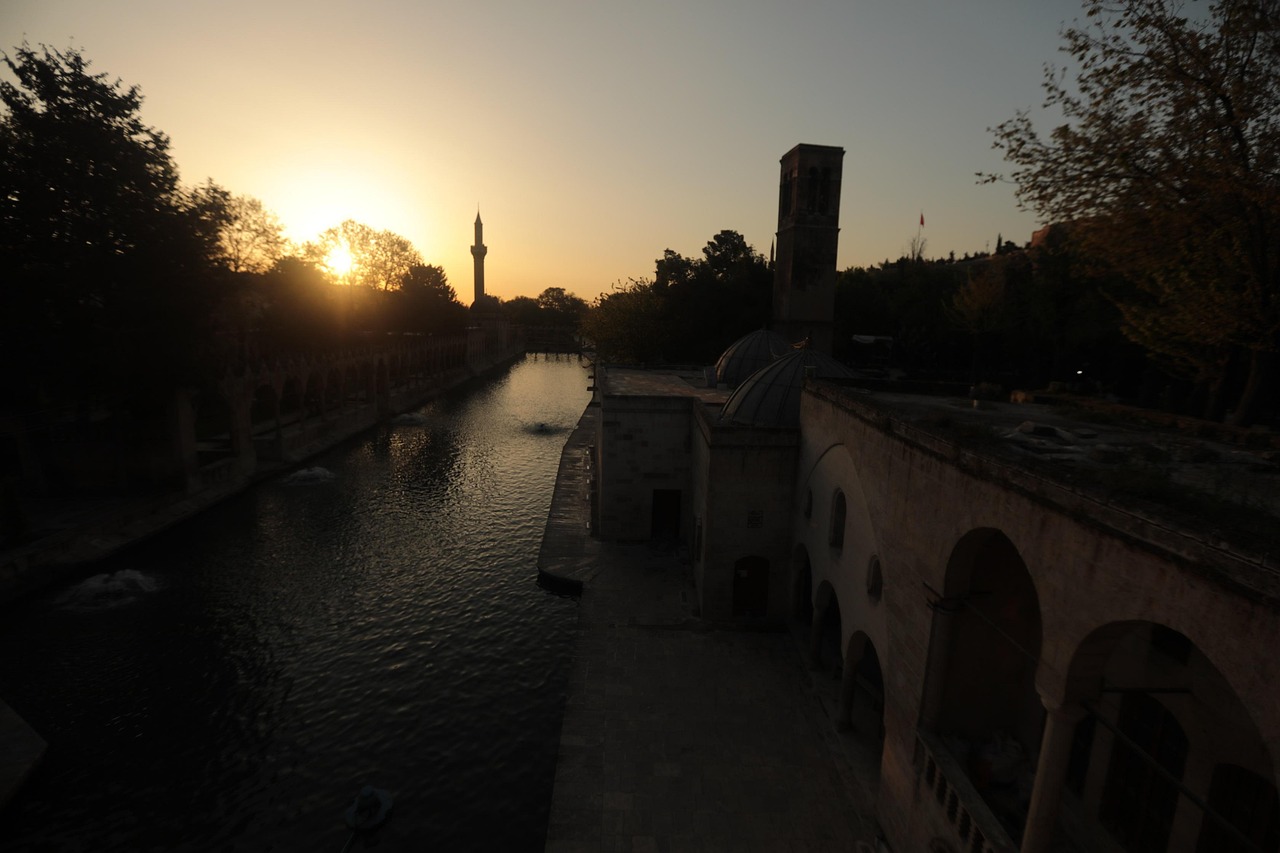 Sanliurfa Urfa Fish - Free photo on Pixabay - Pixabay