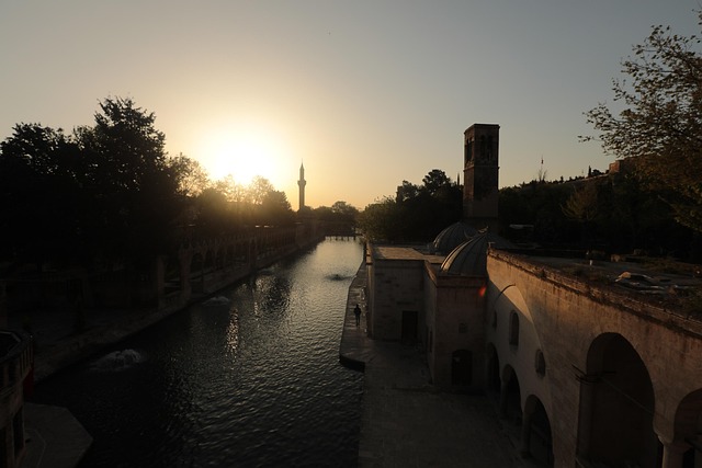 Sanliurfa Urfa Fish - Free photo on Pixabay - Pixabay