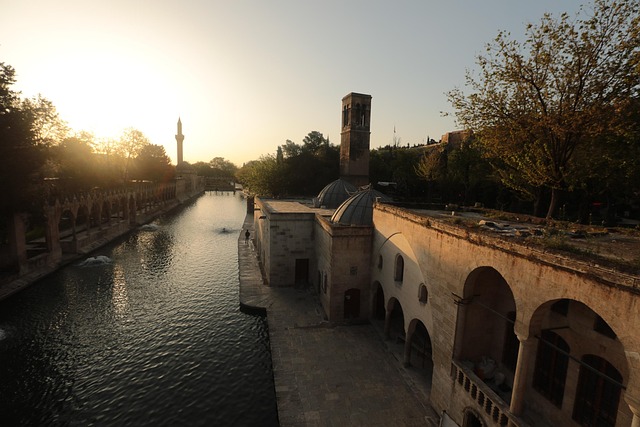 Sanliurfa Urfa Fish - Free photo on Pixabay - Pixabay