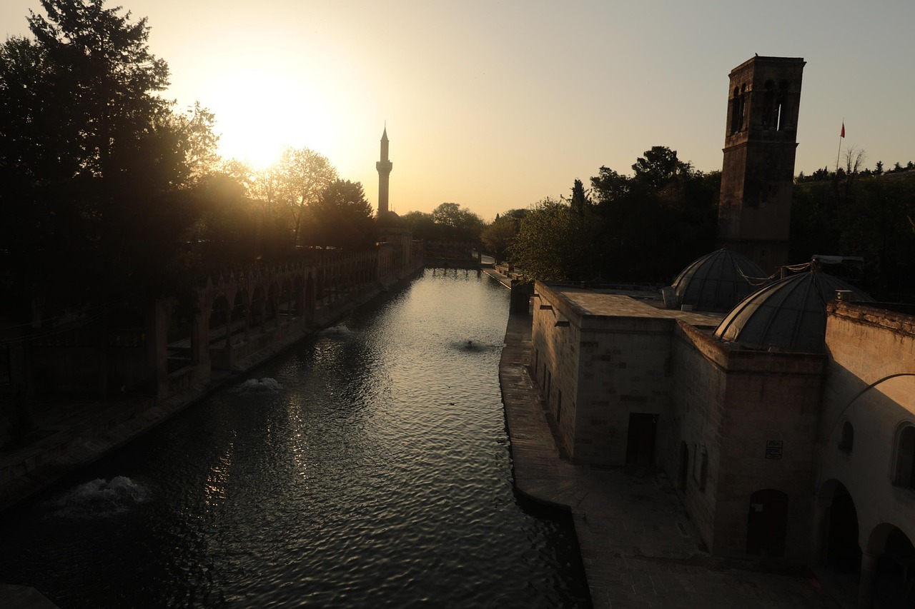 Sanliurfa Urfa Fish - Free photo on Pixabay - Pixabay