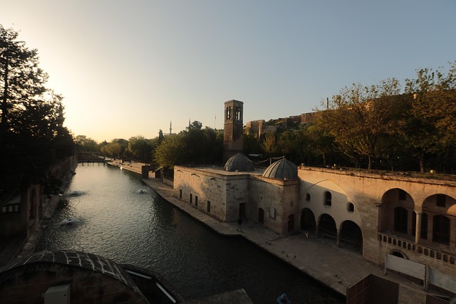 Sanliurfa Urfa Fish - Free photo on Pixabay - Pixabay