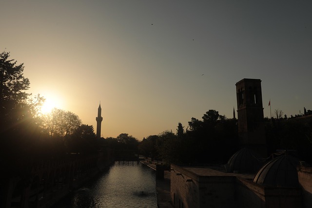 Sanliurfa Urfa Fish - Free photo on Pixabay - Pixabay