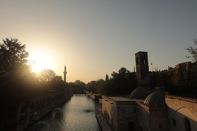 Sanliurfa Urfa Fish - Free photo on Pixabay - Pixabay