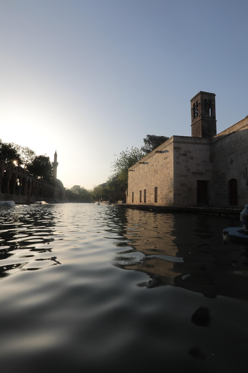 Sanliurfa Urfa Fish - Free photo on Pixabay - Pixabay