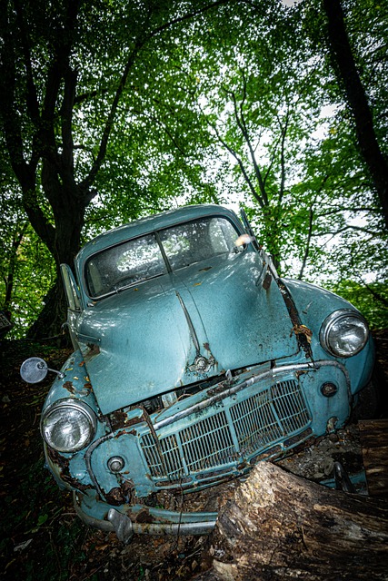 古董车 被遗弃的车 森林 - Pixabay上的免费照片