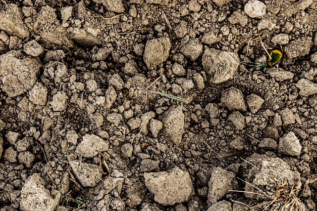Village Soil Gardening - Free photo on Pixabay - Pixabay
