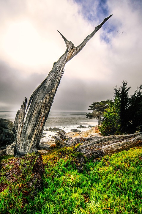 Carmel Big Sur Island - Free photo on Pixabay