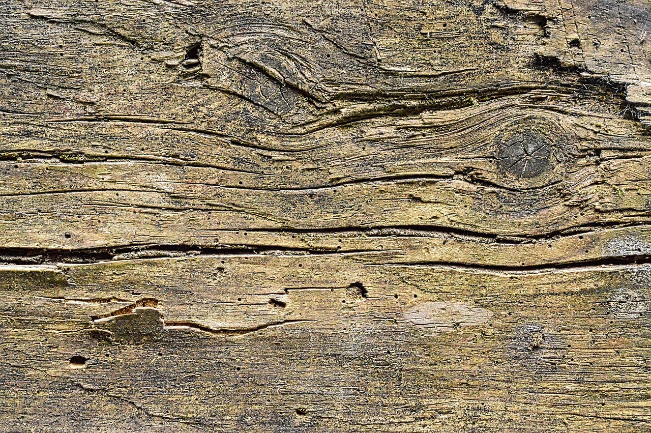 Texture Bois Peinture - Photo gratuite sur Pixabay - Pixabay