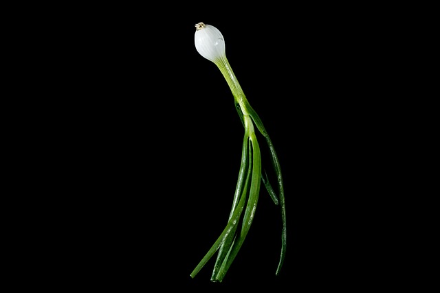 30,000+ Free Spring Onion & Nature Images - Pixabay