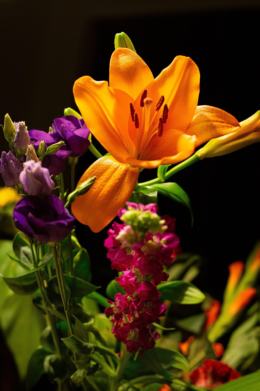 Fleurs Nature Bloom - Photo gratuite sur Pixabay - Pixabay