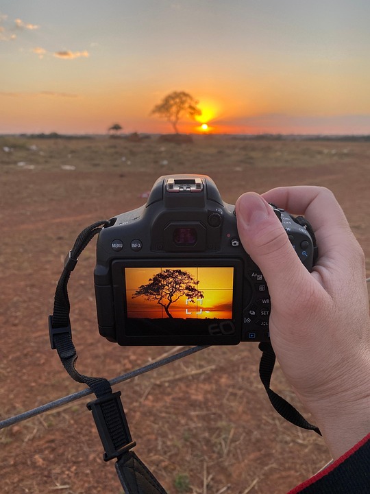 Camera Photography Nature - Free photo on Pixabay - Pixabay