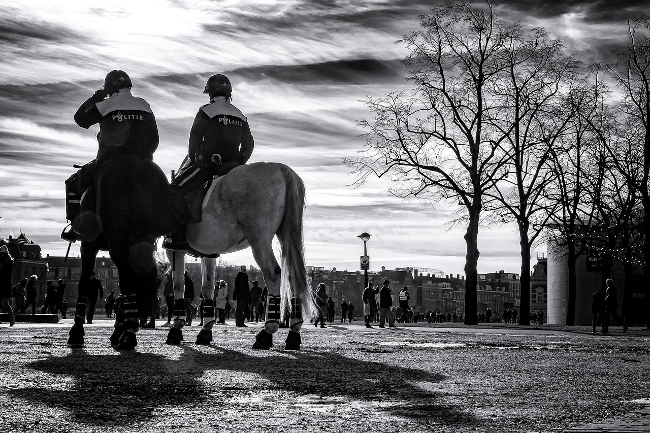 Polizia Stradale Sicurezza Cavalli - Foto gratis su Pixabay - Pixabay