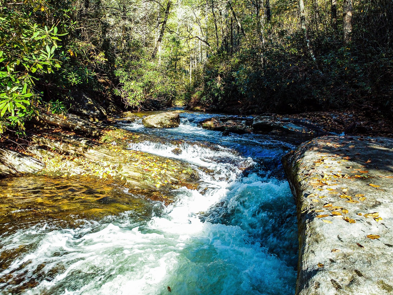 Natureza Rio Agua - Foto gratuita no Pixabay - Pixabay