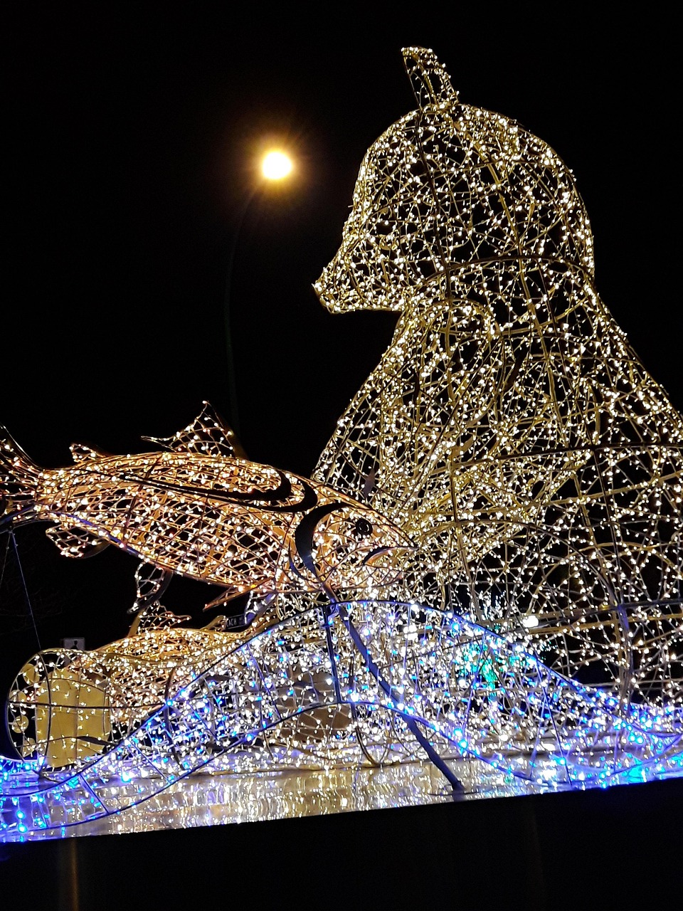 Bear English Bay Vancouver - Free photo on Pixabay - Pixabay
