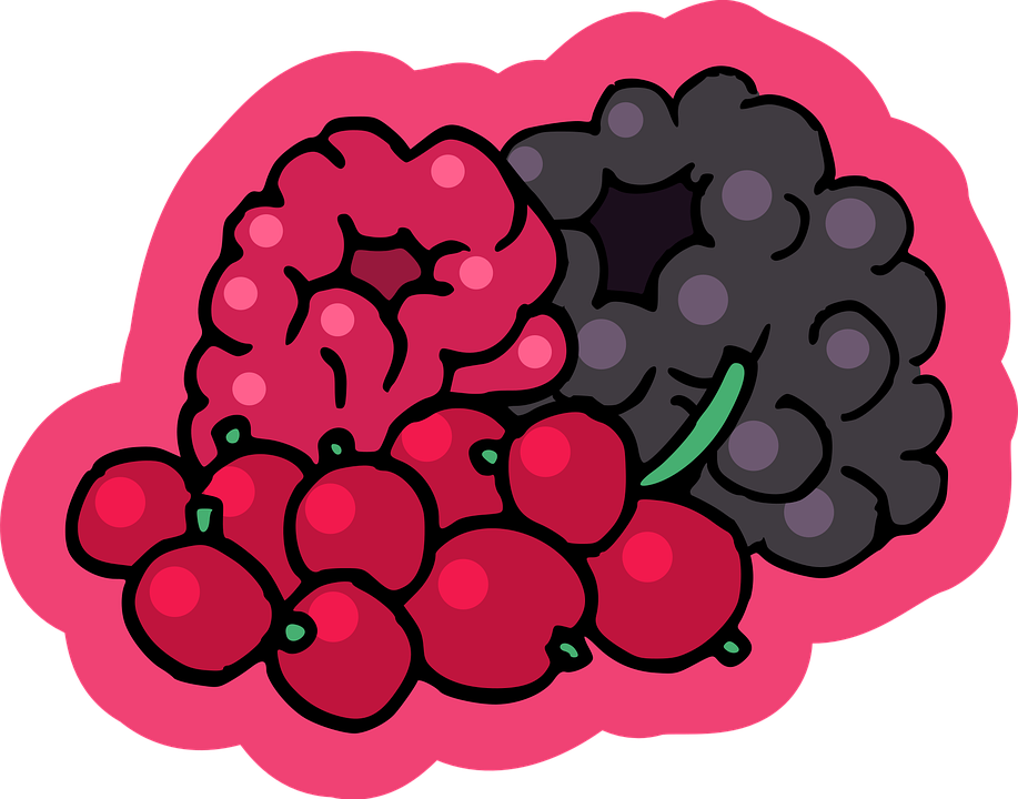 Beeren Preiselbeeren Himbeeren - Kostenlose Vektorgrafik auf Pixabay ...
