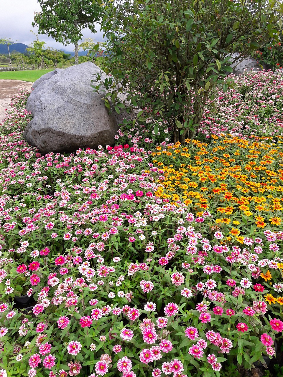 Florescer Natureza Jardim Flores - Foto gratuita no Pixabay - Pixabay