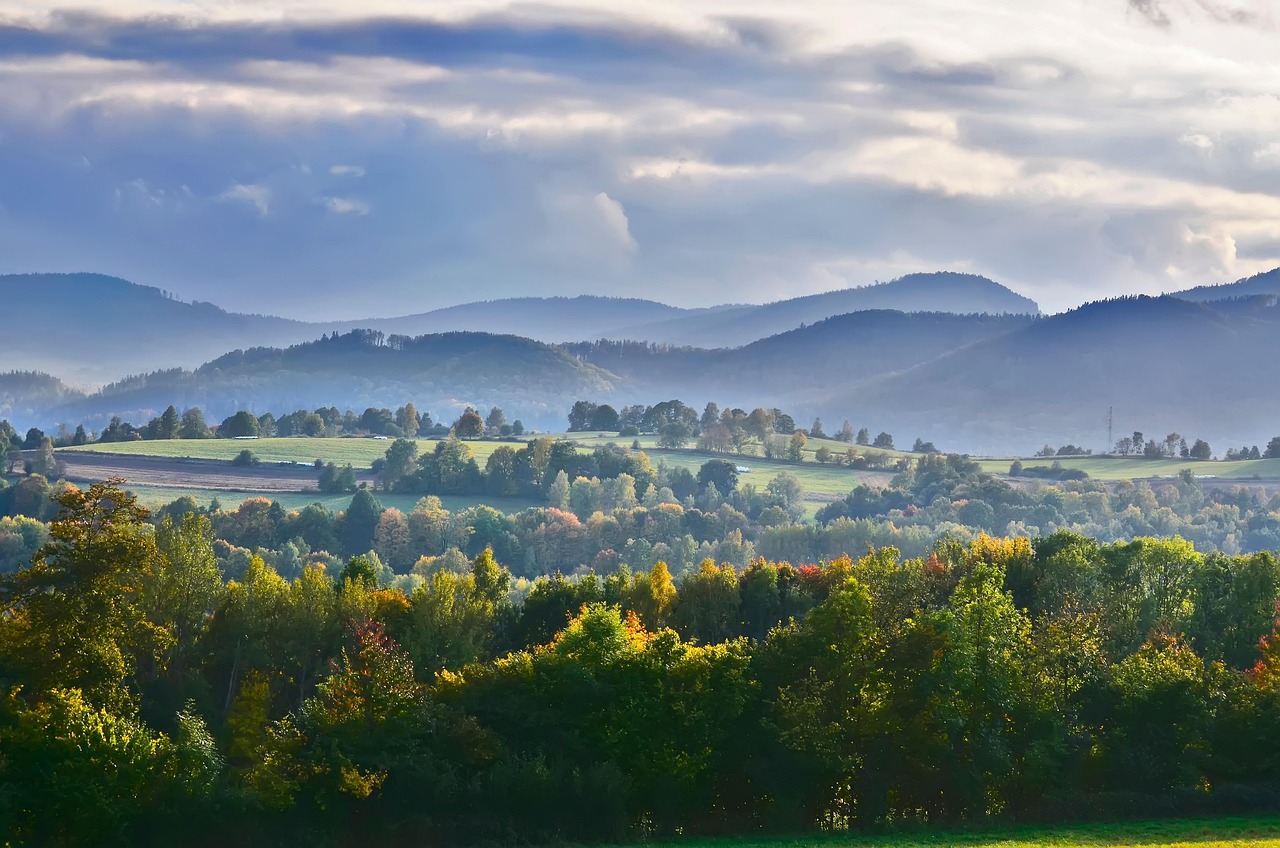 1,200,000+ Free Nature Haze & Nature Photos - Pixabay