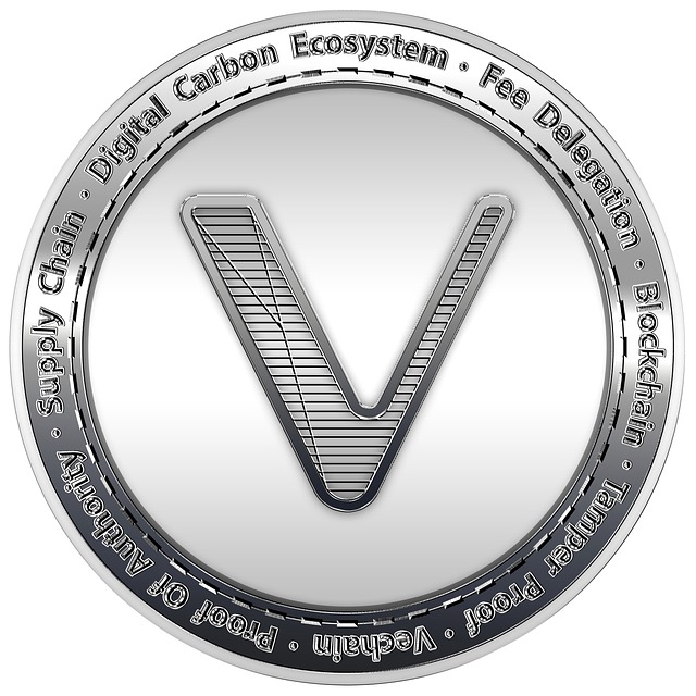 Moeda Vet Vetchain - Imagens grátis no Pixabay - Pixabay