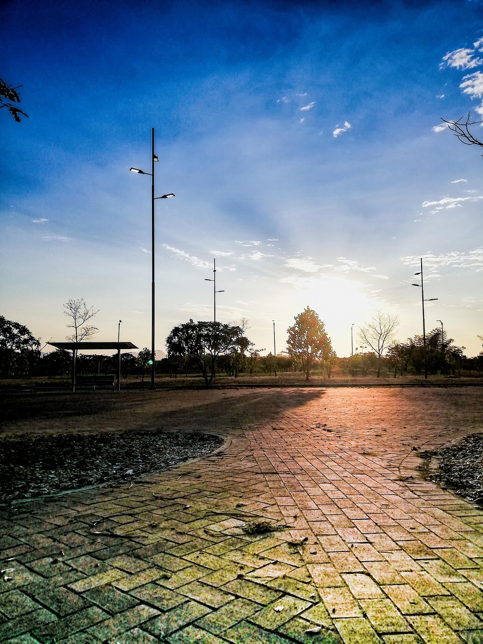 Atardecer Cielo Parque - Foto gratis en Pixabay - Pixabay