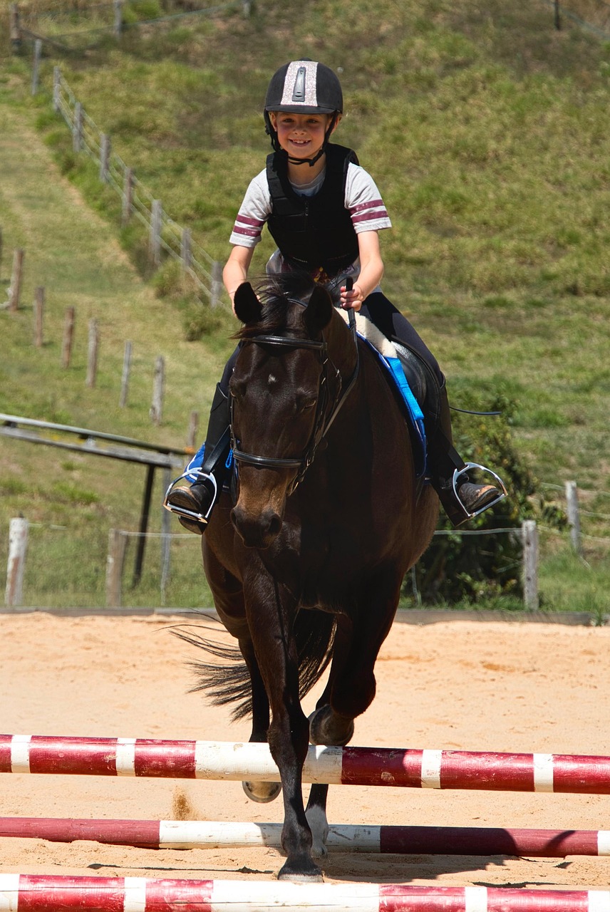 Mais de 80 imagens grátis de Smiling Horse e Cavalo - Pixabay