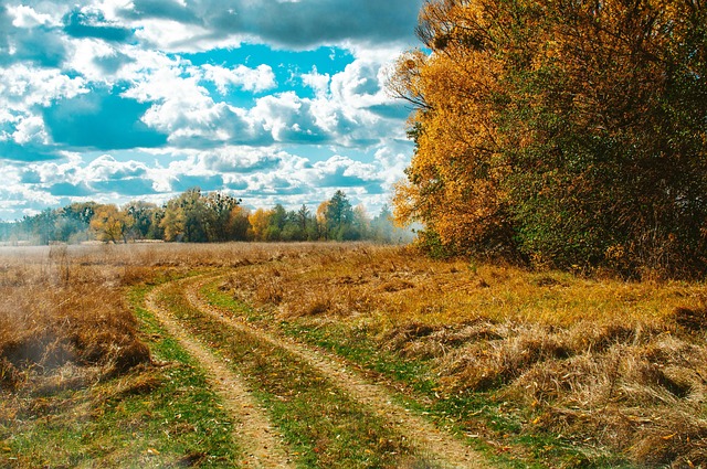 Syksy Tie Lika Polku - Ilmainen valokuva Pixabayssa - Pixabay