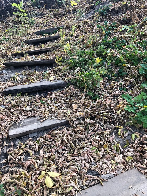 Steps Stairs Descent - Free photo on Pixabay - Pixabay