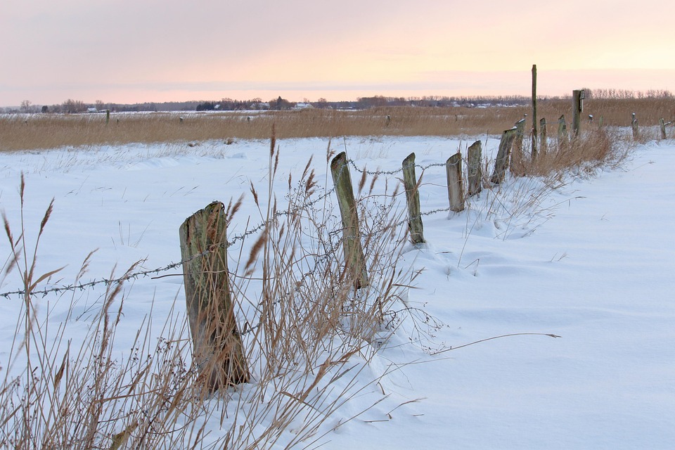 Field Winter Snow - Free photo on Pixabay - Pixabay