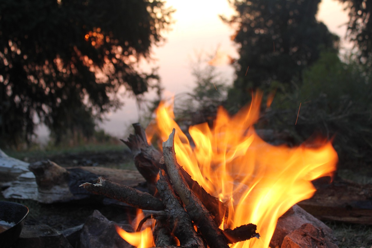 Feu Flammes De Camp Bois - Photo gratuite sur Pixabay - Pixabay