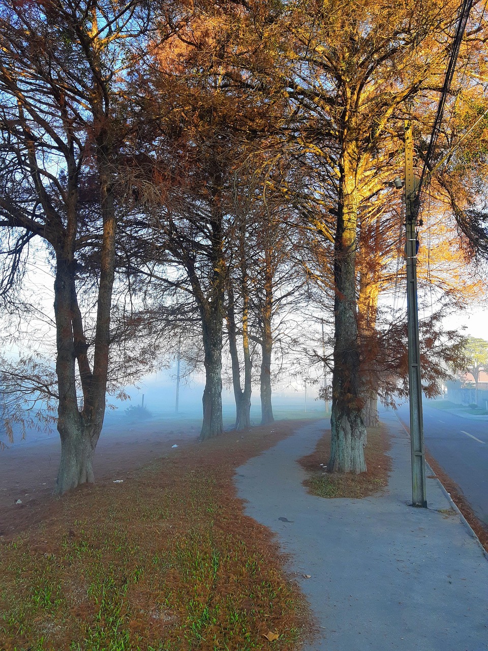 Cold Winter Fog - Free photo on Pixabay - Pixabay