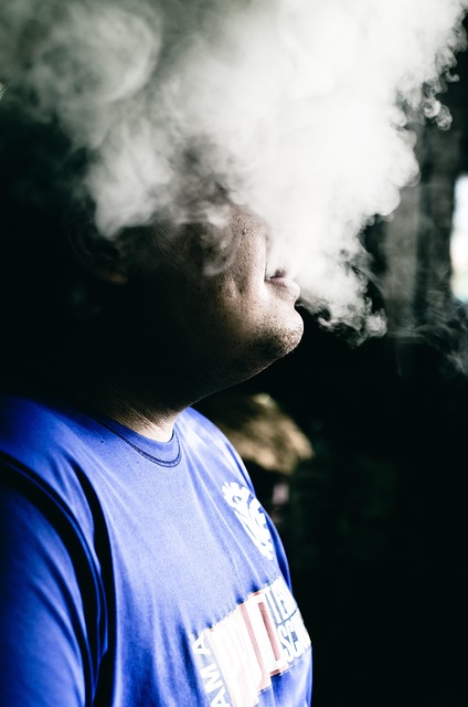Hombre Fumar Tabaco - Foto gratis en Pixabay - Pixabay