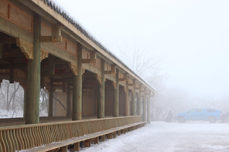 Winter Snow Mist - Free photo on Pixabay - Pixabay