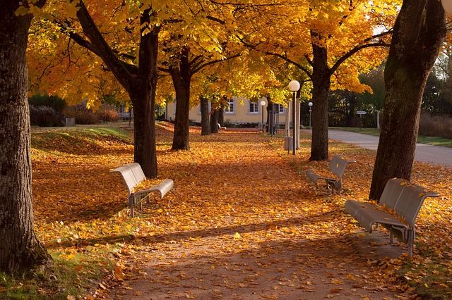 Fall Nature Landscape - Free photo on Pixabay - Pixabay