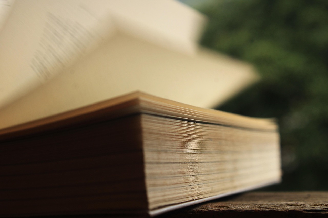 Libro Literatura Leyendo - Foto gratis en Pixabay - Pixabay