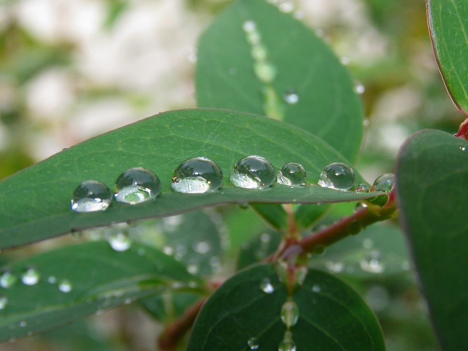 Drops Regen Water - Gratis foto op Pixabay - Pixabay