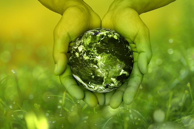 Nature Reserve Environment Earth - Free image on Pixabay