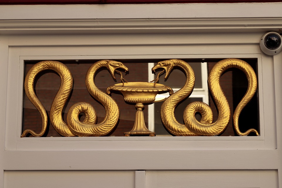 Entrance Sign Decor Snakes Golden - Free photo on Pixabay