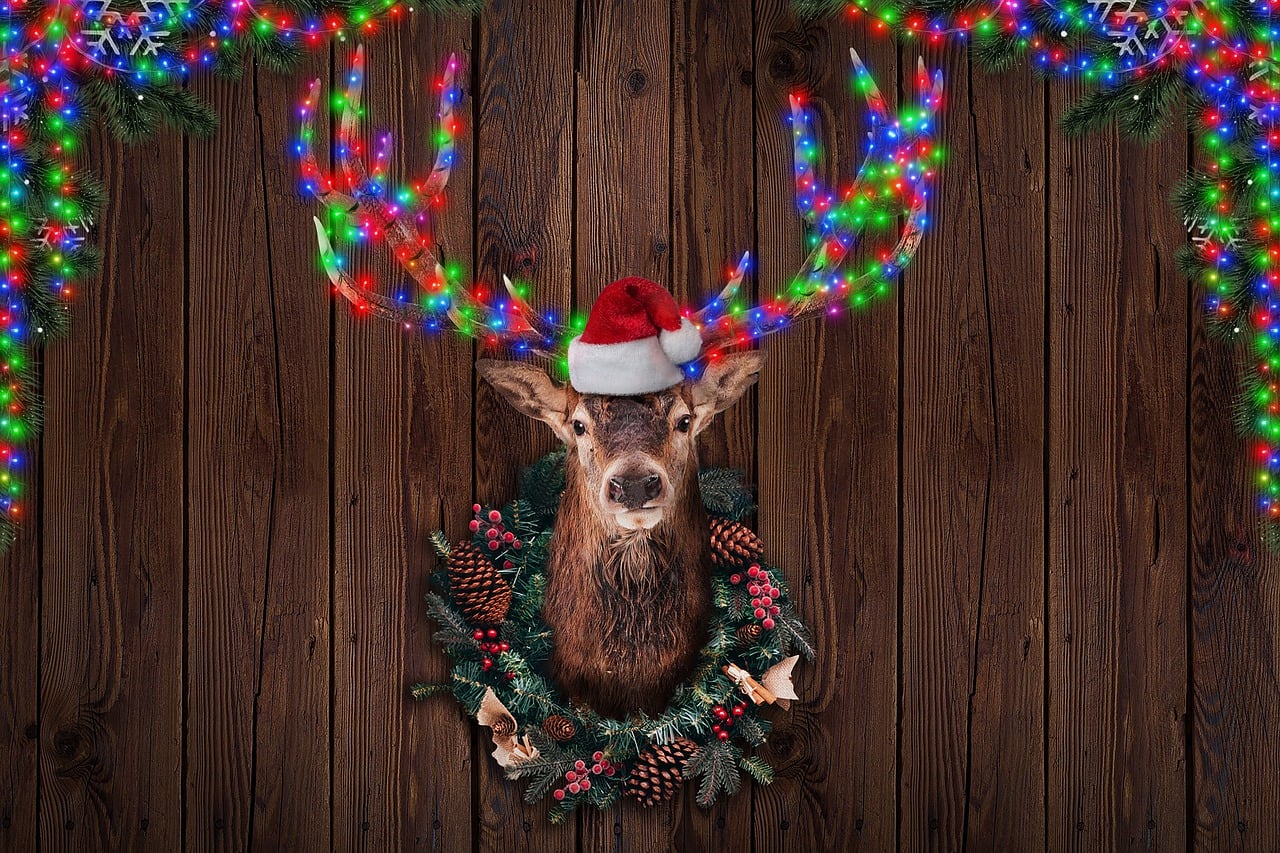 Noël Cerf Renne - Image gratuite sur Pixabay - Pixabay
