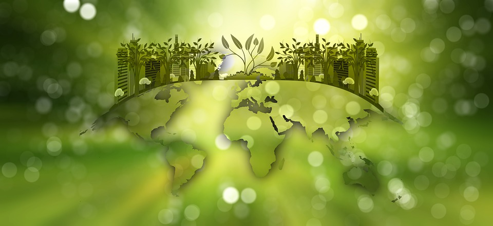 Download Nature Reserve, Environment, Environmental Protection. Royalty ...
