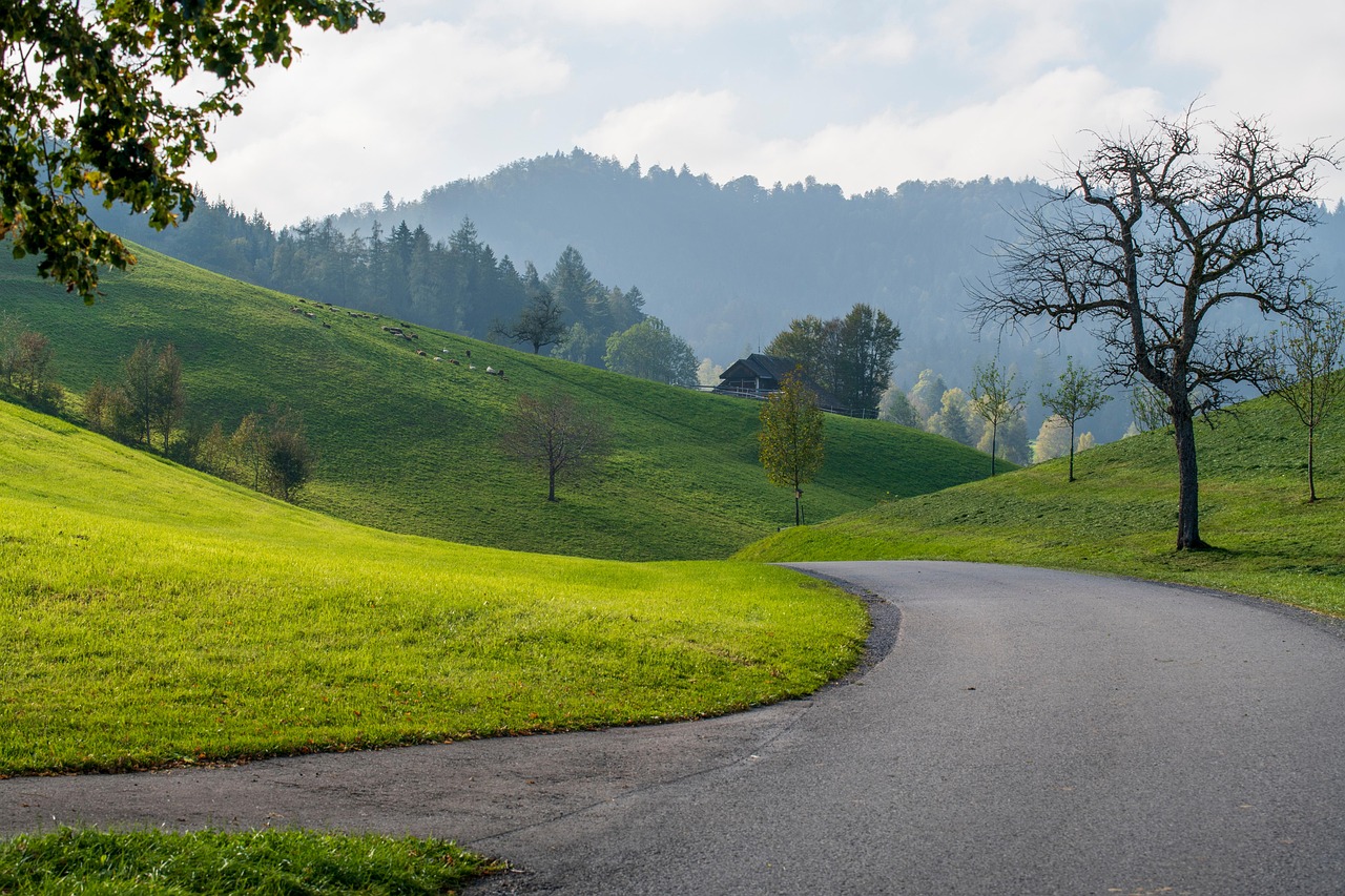Nature Path Travel - Free photo on Pixabay