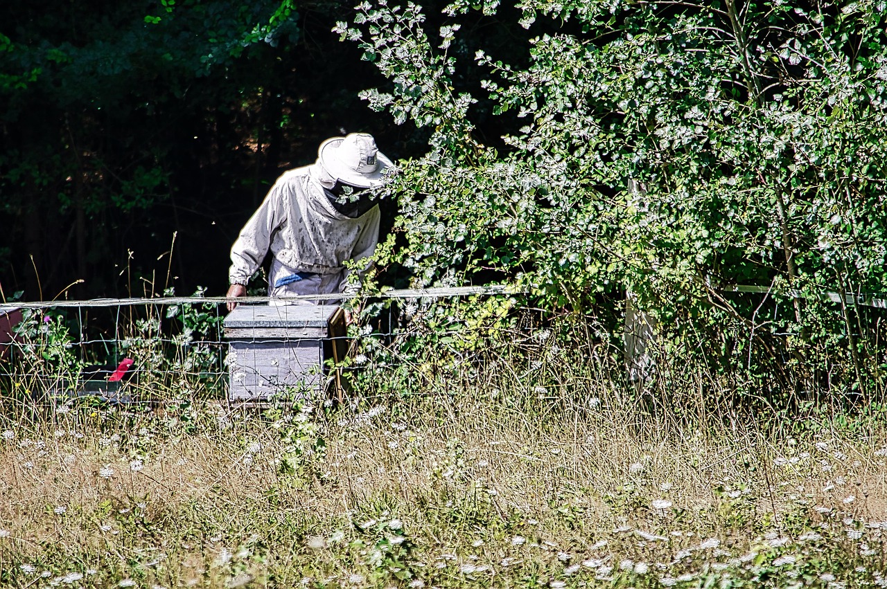 Beekeeping Beekeeper Bee Free Photo On Pixabay Pixabay