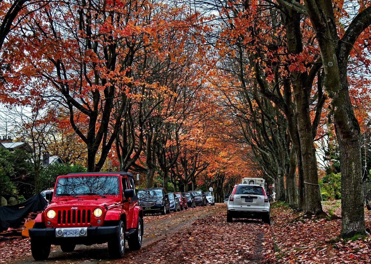 Autumn Street Trees - Free photo on Pixabay - Pixabay
