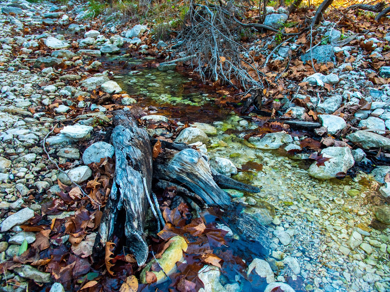 Arroyo Agua Naturaleza - Foto gratis en Pixabay - Pixabay