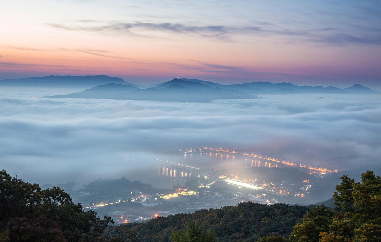 City Fog Nature - Free photo on Pixabay